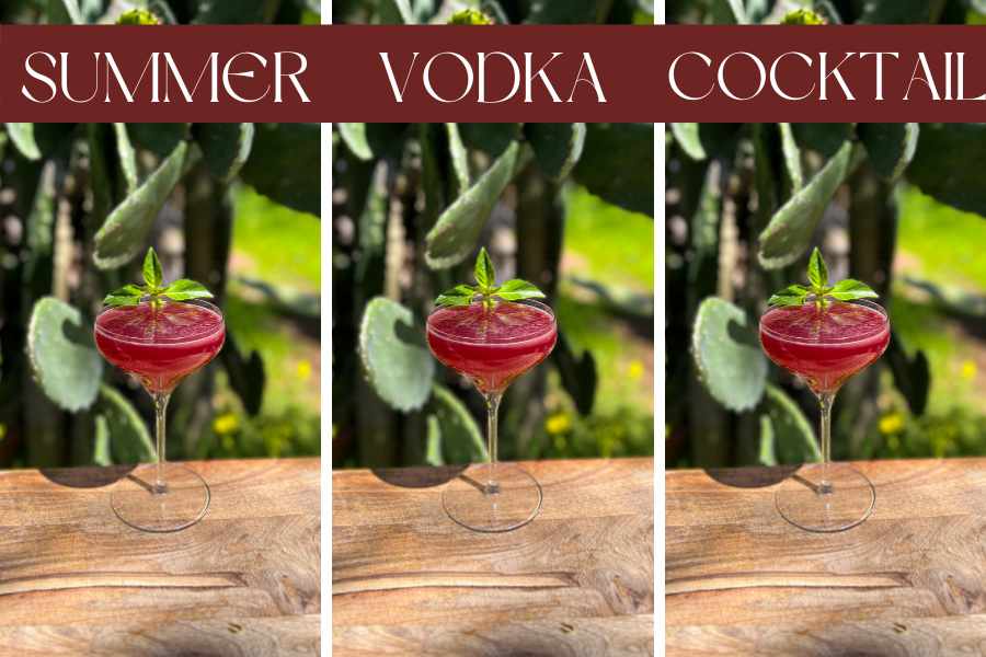 Perfect Summer Vodka Cocktail - Sweet Nectar