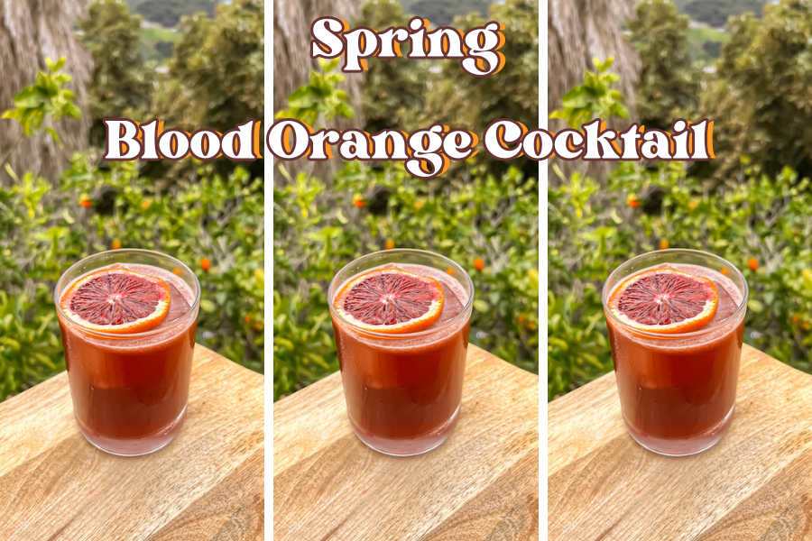 Delicious Blood Orange Spring Cocktail Recipe - Sweet Nectar