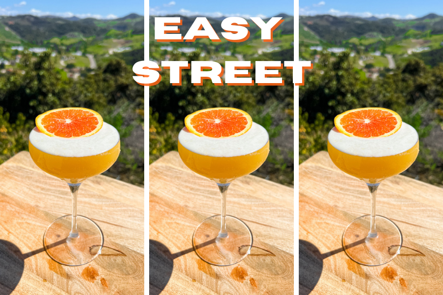 Delicious Rum Sour Cocktail with Cara Cara Oranges - Sweet Nectar